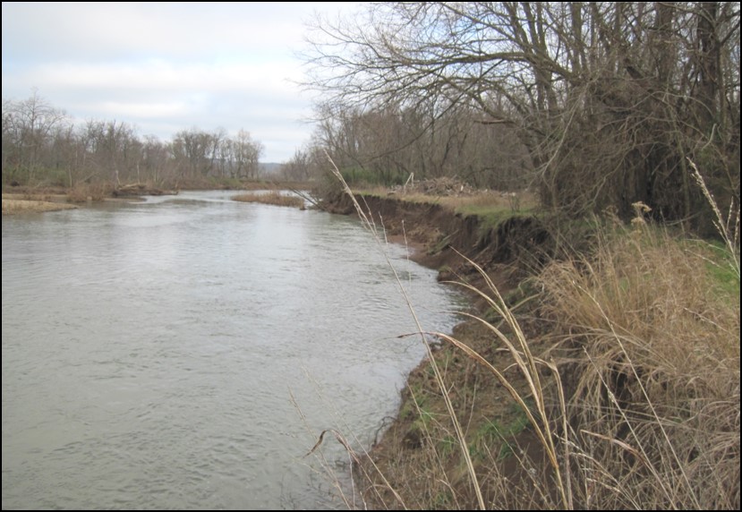 White River Streambank Restoration off Wyman Road - Watershed ...